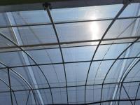 China Durable multitunnel greenhouse with double layer arch design ideal for commercial agricultural and multi span crop cultivation for sale