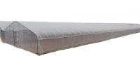 China Durable SingleTunnel Greenhouse Featuring Hot Dip Galvanized Steel Frame and High Light Transmission Plastic Film Covering for Tomato Hydroponics for sale