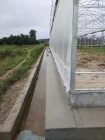 China Durable multitunnel connected greenhouse system designed for large scale agricultural and optimized crop growth conditions for sale