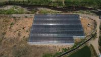China Durable multitunnel connected greenhouse system designed for large scale agricultural and optimized crop growth conditions for sale
