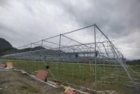 China Durable multitunnel connected greenhouse system designed for large scale agricultural and optimized crop growth conditions for sale