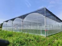 China Galvanized steel pipe multitunnel connected greenhouse with plastic film and polycarbonate panel covering engineered for and durable crop growing for sale