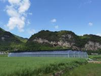 China Galvanized steel pipe multitunnel connected greenhouse with plastic film and polycarbonate panel covering engineered for and durable crop growing for sale
