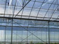 China Galvanized steel pipe multitunnel connected greenhouse with plastic film and polycarbonate panel covering engineered for and durable crop growing for sale
