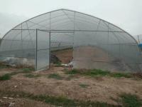 China SingleTunnel Greenhouse with reinforced galvanized steel frame and UV stabilized plastic film covering for stable outdoor agricultural for sale