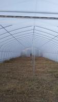 China SingleTunnel Greenhouse with reinforced galvanized steel frame and UV stabilized plastic film covering for stable outdoor agricultural for sale