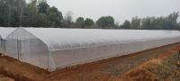 China Multitunnel connected greenhouse offering climate control and scalable crop production solutions for commercial growers for sale