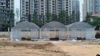 China Multitunnel connected greenhouse offering climate control and scalable crop production solutions for commercial growers for sale