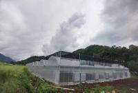 China Multitunnel connected greenhouse offering flexible layout options to accommodate different crop types and farming scales for sale