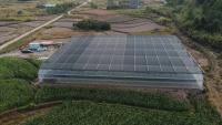 China Multitunnel connected greenhouse offering flexible layout options to accommodate different crop types and farming scales for sale