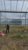 China Multitunnel connected greenhouse offering flexible layout options to accommodate different crop types and farming scales for sale