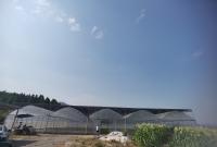China Multitunnel connected greenhouse offering flexible layout options to accommodate different crop types and farming scales for sale