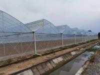 China High tunnel multi-span single-layer PE film commercial greenhouse for lettuce and tomatoes for sale