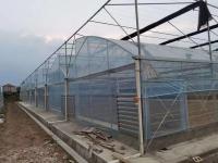 China High tunnel multi-span single-layer PE film commercial greenhouse for lettuce and tomatoes for sale