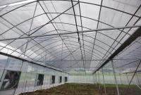 China High tunnel multi-span single-layer PE film commercial greenhouse for lettuce and tomatoes for sale