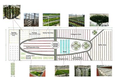 China SingleTunnel Greenhouse Offering Hydroponic Strawberry Cultivation Solution with Prefabricated Parts and Quick Assembly for sale