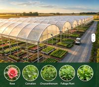 China SingleTunnel Greenhouse single-span greenhouse ideal for seedling breeding flower cultivation herbal planting and sapling growth for sale