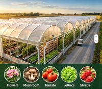 China SingleTunnel Greenhouse Offering Hydroponic Strawberry Cultivation Solution with Prefabricated Parts and Quick Assembly for sale