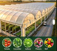 China Multitunnel greenhouse designed for seedling breeding flower cultivation and herbal planting with strong arch frame construction for sale