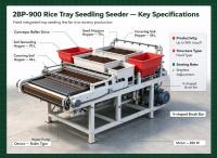 China Seedling Sowing Equipment Designed to Replace Manual Labor and Reduce Labor Cost While Guaranteeing Uniform Seedling in Rice Production for sale