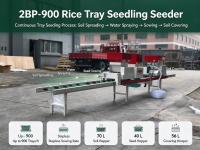 China Seedling Sowing Equipment Designed to Replace Manual Labor and Reduce Labor Cost While Guaranteeing Uniform Seedling in Rice Production for sale