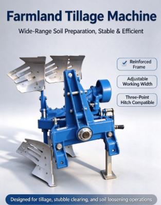 China Versatile Plough for Effective Soil Management and Seedbed Preparation Designed to Support Increased Farm Productivity for sale