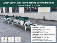 China Seedling Sowing Equipment Offering and Consistent Seed Placement Solutions to Improve Crop Yield and Nursery Productivity for sale
