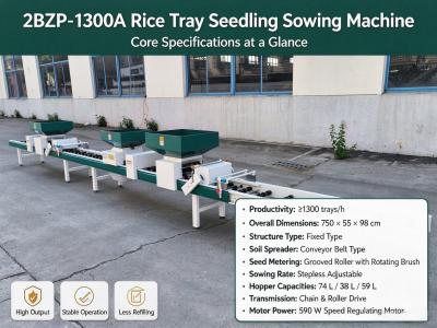 China Seedling Sowing Equipment Offering and Consistent Seed Placement Solutions to Improve Crop Yield and Nursery Productivity for sale