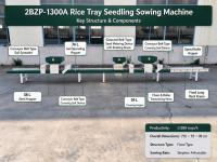 China Seedling Sowing Equipment Offering and Consistent Seed Placement Solutions to Improve Crop Yield and Nursery Productivity for sale