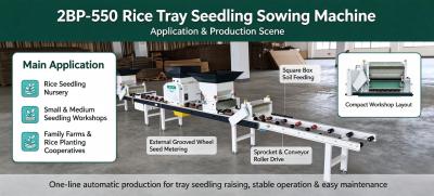 China Seedling Sowing Equipment Designed to Enhance Seedling Uniformity and Growth Potential Through Accurate Sowing Techniques for sale