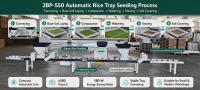 China Seedling Sowing Equipment Designed to Enhance Seedling Uniformity and Growth Potential Through Accurate Sowing Techniques for sale