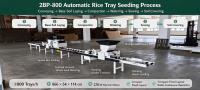 China Seedling Sowing Equipment Providing Advanced Seed Handling Capabilities to Support and Scalable Seedling Production Processes for sale