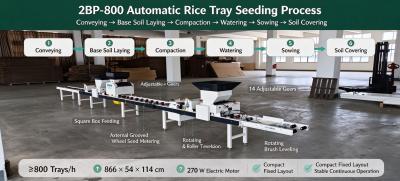 China Seedling Sowing Equipment Providing Advanced Seed Handling Capabilities to Support and Scalable Seedling Production Processes for sale