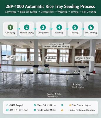 China Seedling Sowing Equipment Engineered to Optimize Seedling Germination Rates and Streamline Nursery Production Processes for sale