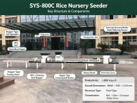 China Seedling Sowing Equipment Providing Consistent Seed Distribution and Reducing Labor Costs in Commercial Plant Propagation for sale