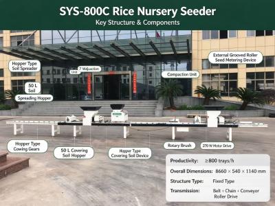 China Seedling Sowing Equipment Providing Consistent Seed Distribution and Reducing Labor Costs in Commercial Plant Propagation for sale