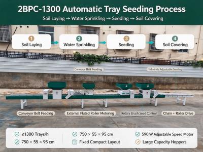 China Innovative Seedling Sowing Equipment Engineered to Optimize Seed Distribution and Maximize Crop Yield Potential for sale