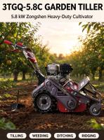 China Ergonomic Gardening tools kit crafted to minimize hand fatigue and maximize efficiency during prolonged gardening activities for sale
