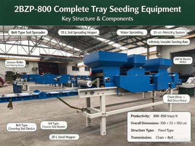 China Durable Seedling Sowing Equipment Designed to Improve Accuracy and Speed in Seed Planting Processes for Commercial Greenhouse and Farm for sale