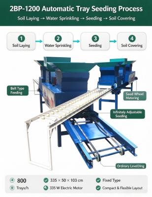 China Seedling Sowing Equipment Designed for Integration with Modern Farming Systems and Precision Agriculture Tools for sale