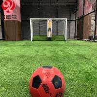 China Chinese Factory Price Sports Entertainment Device Football Field Simulation Simulator for sale