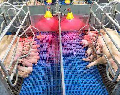China High Strength FRP Molded Grating 38x38x38mm for Livestock Flooring Heavy Duty for sale