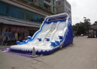 China Outdoor Double Dolphin Inflatable Backyard Water Slide With 9L X 4W X6H for sale