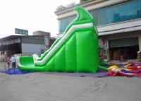 China Fire Retardant Outdoor Customized Blow Up Commercial Inflatable Slide Green Slide for sale