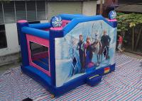 China Large Frozen Princess Happy Hop Inflatable Bounce House Inside Slide for sale