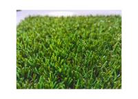 China 1x3m 2x5m Commercial Artificial Grass 25mm Dog Friendly Fake Grass for sale