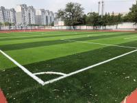 China 55mm Soccer Artificial Grass Color Customized 40mm 50mm Fake Football Turf Professional Certificated for sale