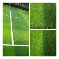 China Outdoor 40mm 50mm Gym Fake Grass PE Synthetic Turf Grass for sale