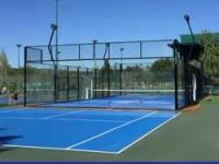 China Customized Factory Wholesale 4m Panoramic Padel Tennis Court 10x20m 4x20m for sale
