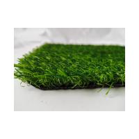 China PE Gym Artificial Turf Outdoor 25mm Gym Grass Flooring 2x5m For Football Field for sale